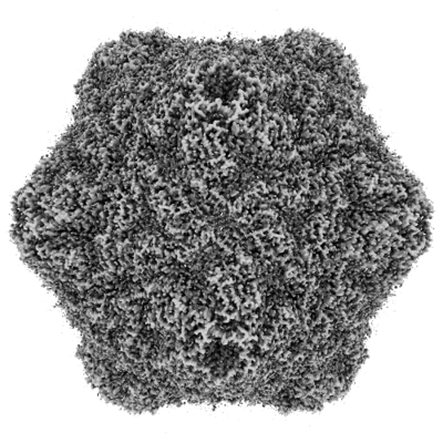 EMDR Atlas